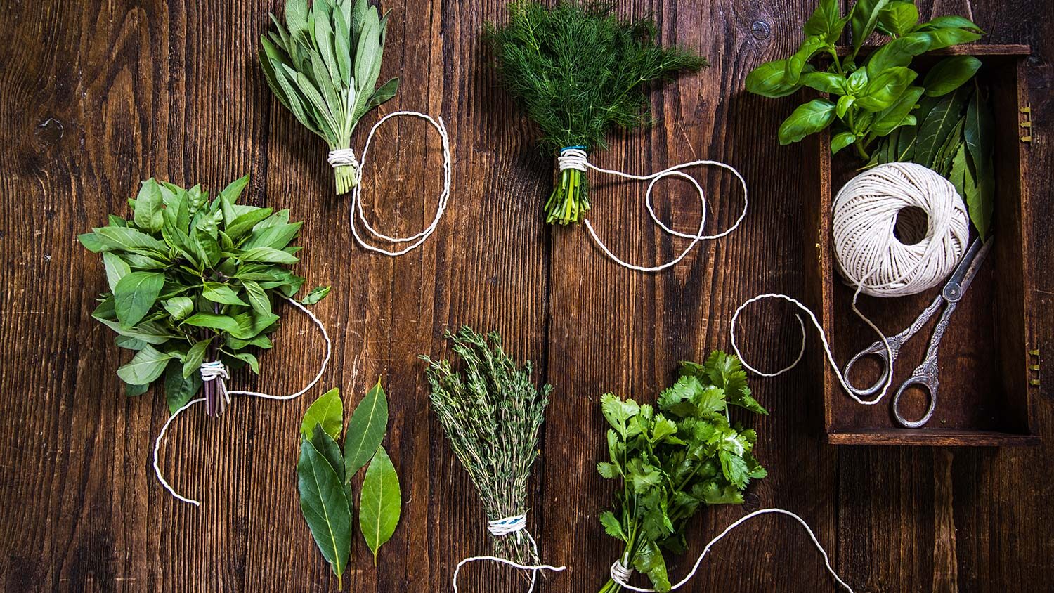 A Guide to Herbs - DISH